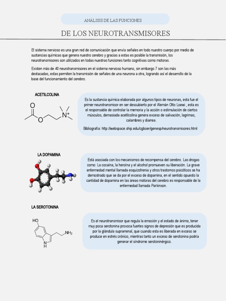 De Los Neurotransmisores: Análisis de Las Funciones | Descargar gratis ...