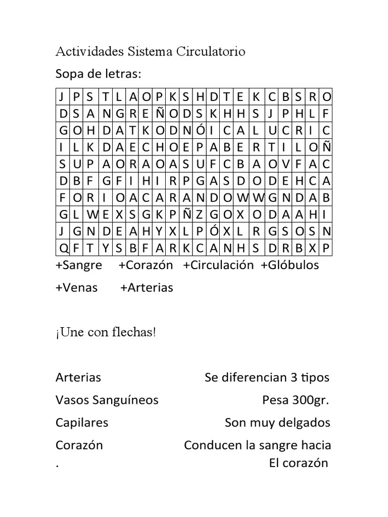 Actividades Sistema Circulatorio | PDF | Viajes y turismo