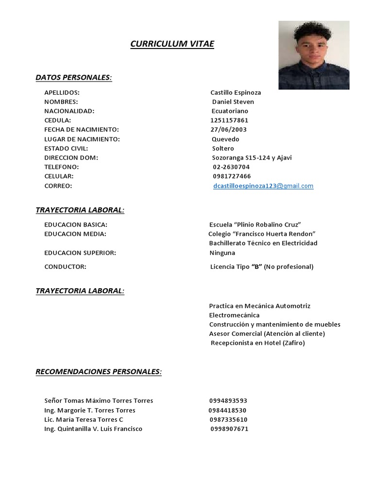 Curriculum Vitae de Daniel Castillo | PDF