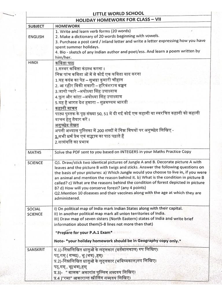 Holiday Homework Class 7 | PDF