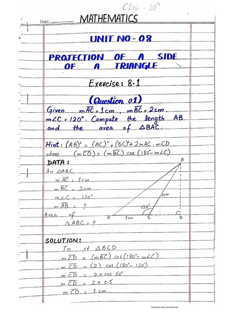Theorem Exercises Class 10th | PDF
