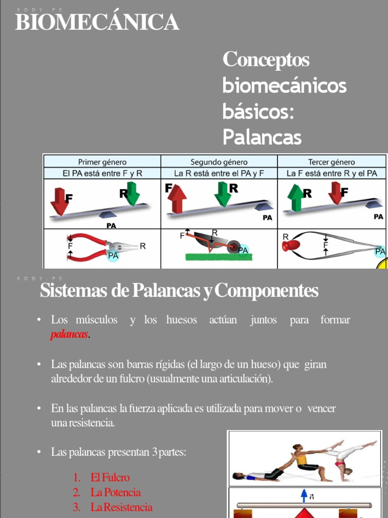 Tipos de Palancas en Biomecánica | PDF | Palanca | Fuerza