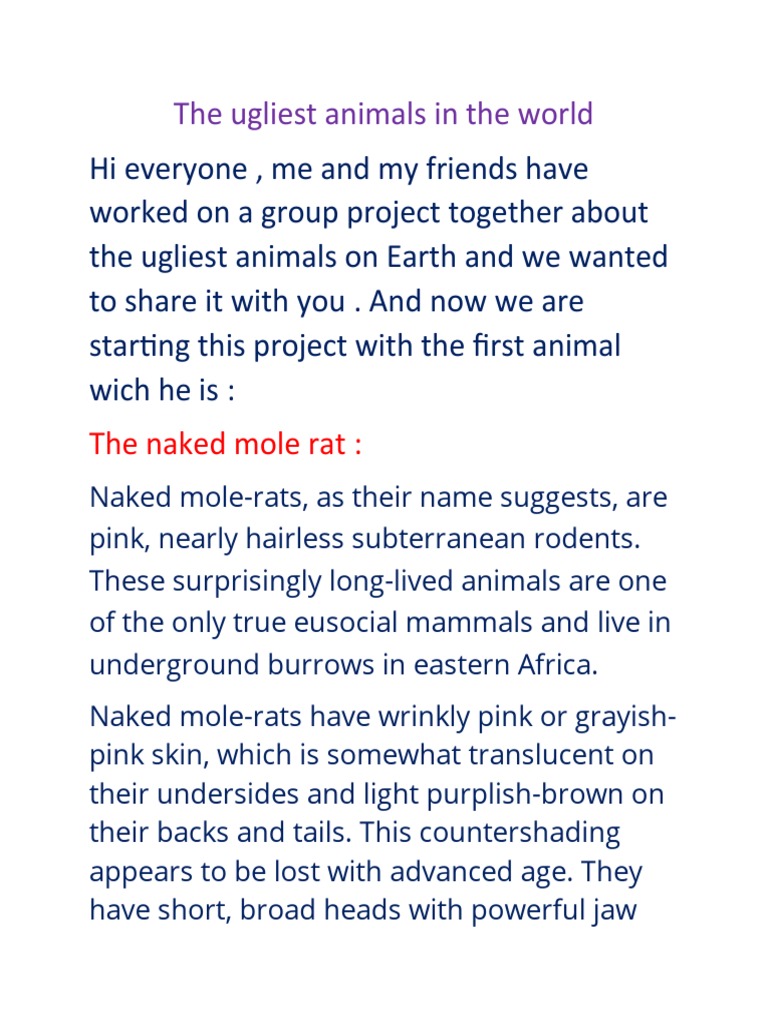 The Ugliest Animals | PDF | Mammals | Organisms