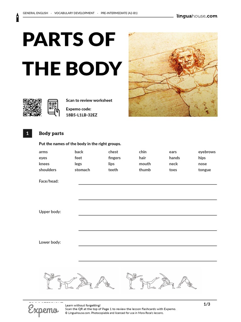 Parts of The Body | PDF | Human Anatomy