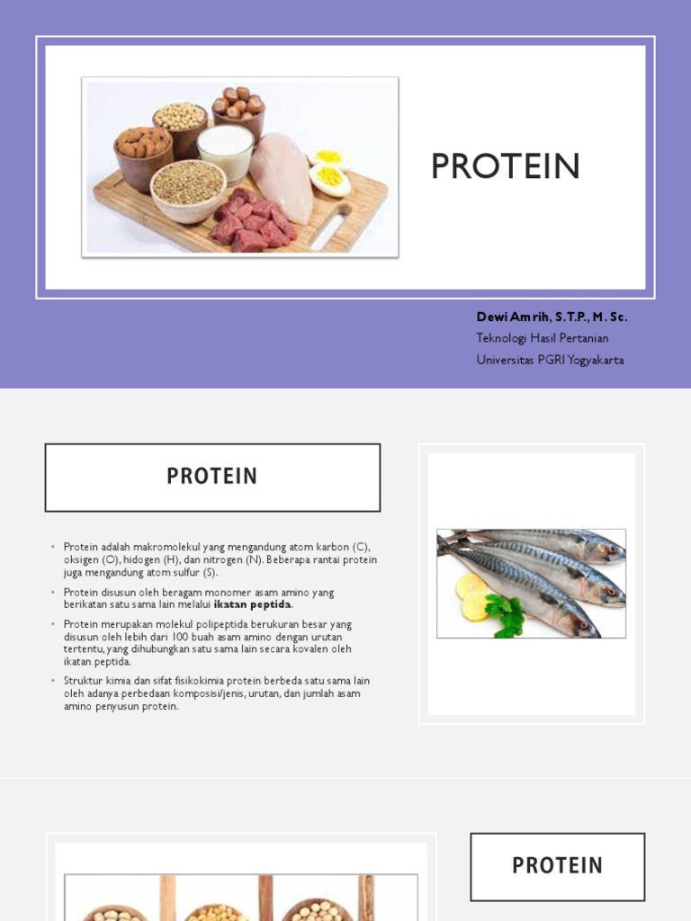 Protein | PDF
