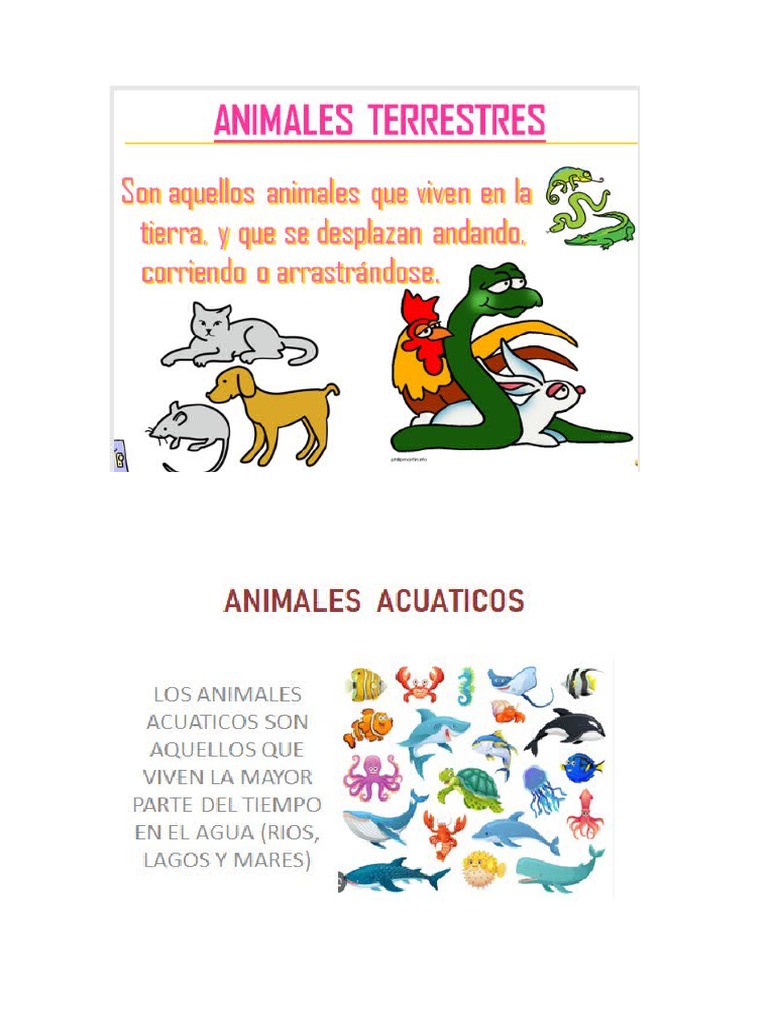 Animales Acuaticos y Terrestres | PDF