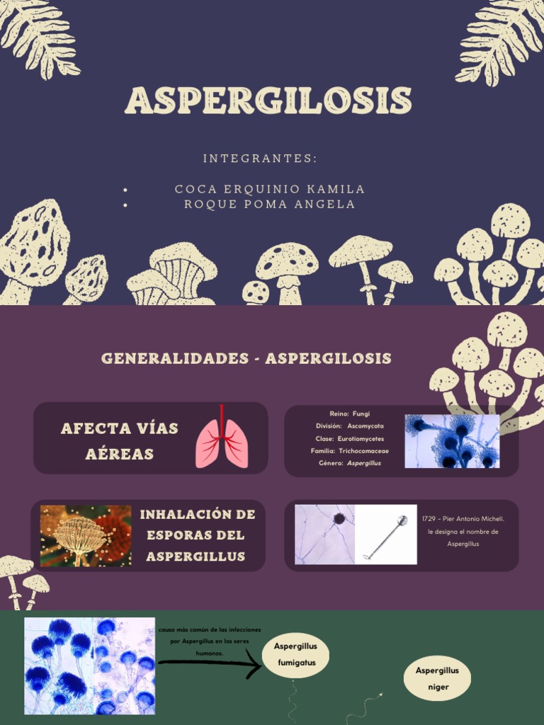 Aspergilosis | PDF | Alergia | Aspergilo