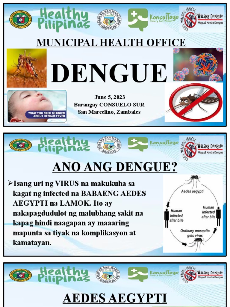 Dengue Lecture | PDF