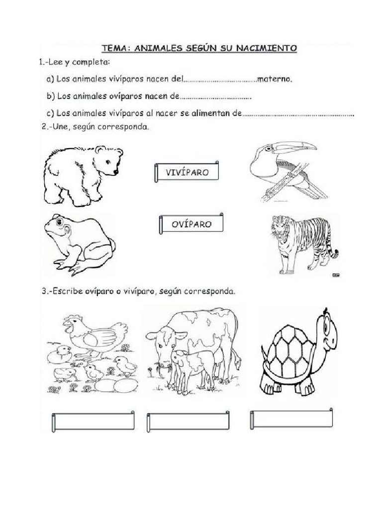 Fichas de Animales Ovíparos y Vivíparos | PDF
