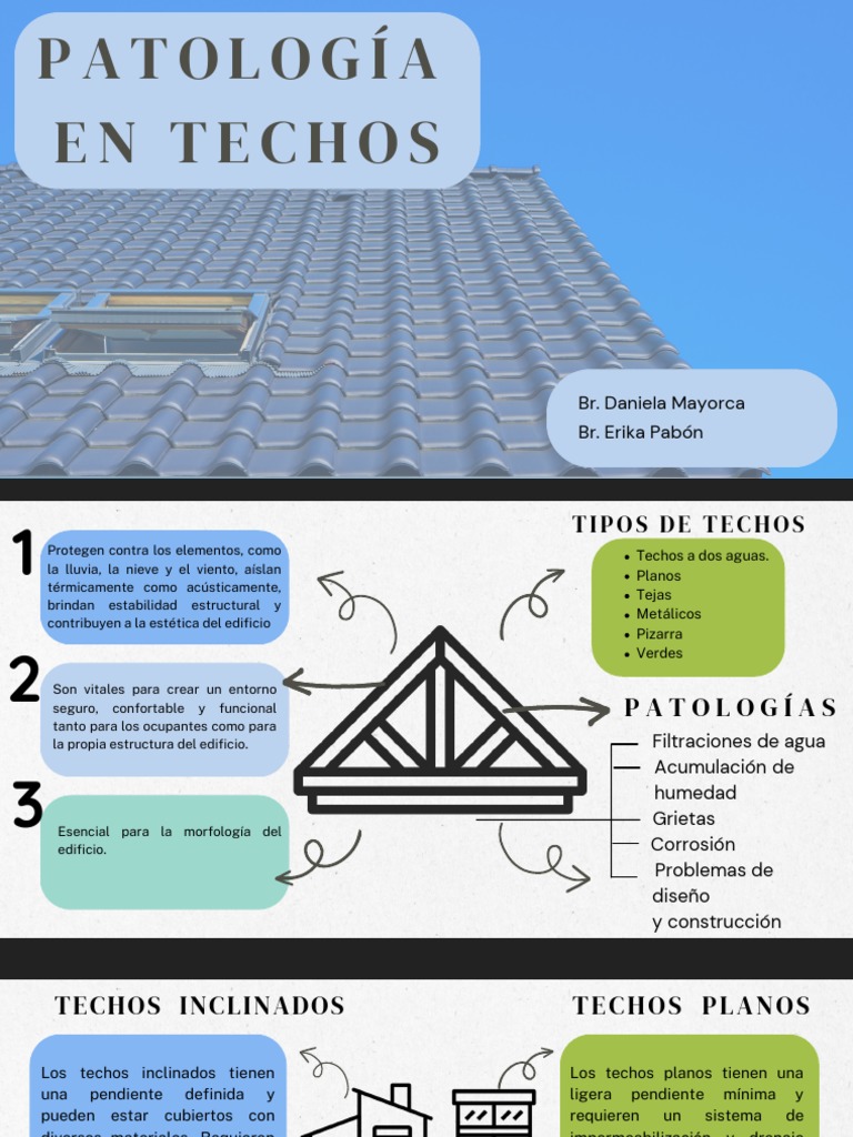 Patologia de Las Edificaciones. Techos | PDF | Techo | Agua