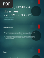 Gram Positive Cocci Flow Chart | PDF | Streptococcus | Prokaryote