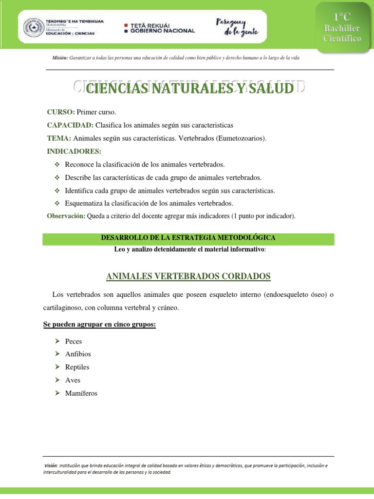 Ciencias Naturales y Salud 1er. Curso Plan Común Animales Vertebrados | PDF | Vertebrados | Pescado
