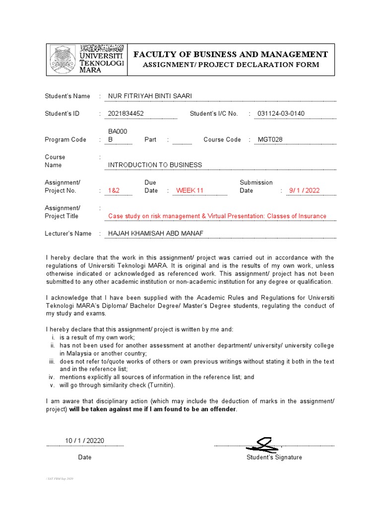 Assignment Project Declaration Form | PDF
