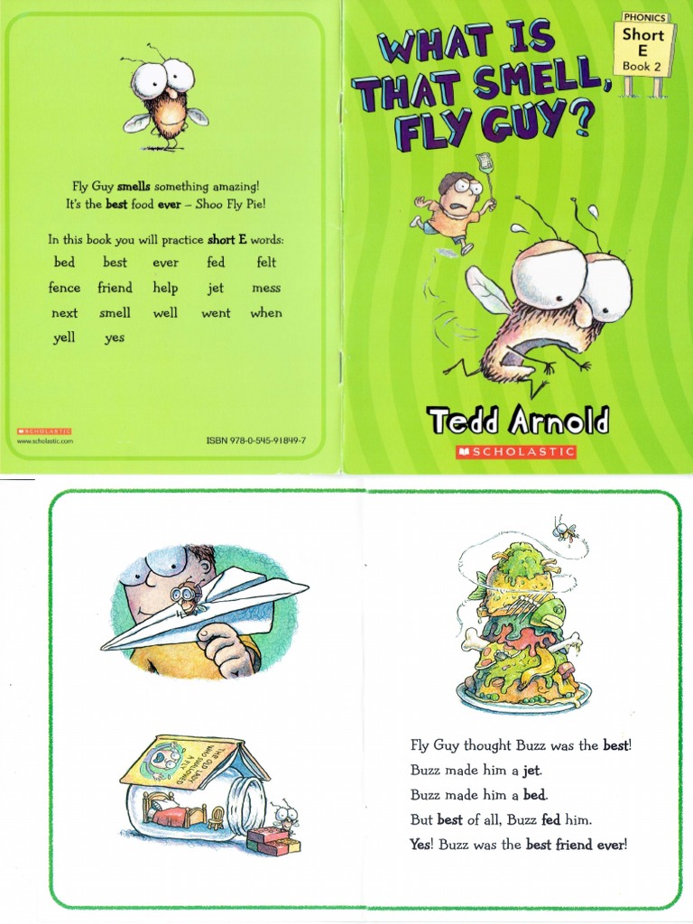 What Is That Smell Fly Guy | PDF