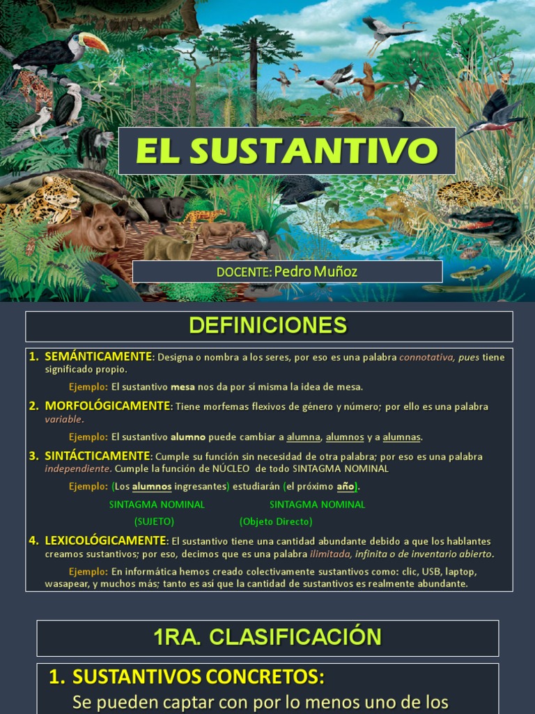 TS 12 El Sustantivo | PDF | Sustantivo | Palabra