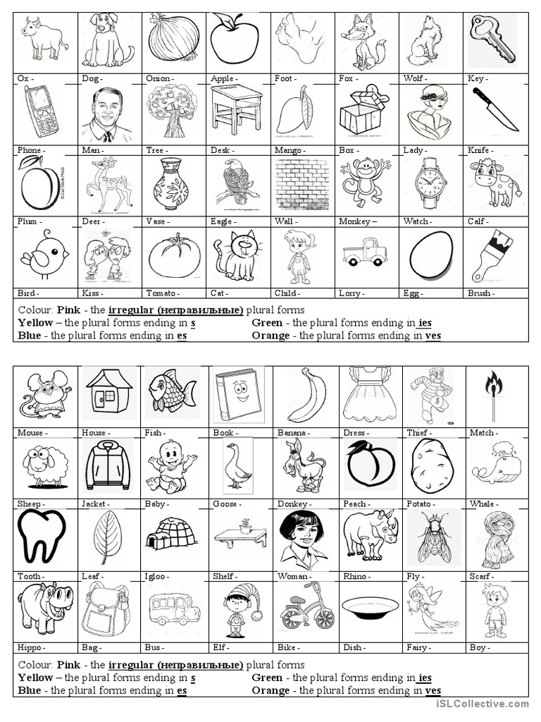 Plurals of The Nouns Coloring Task | PDF