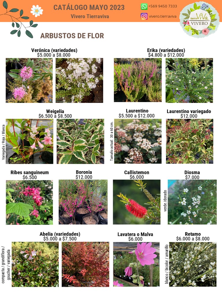 Catalogo Vivero Mayo2023-1 | PDF | Plantas de jardín | Botánica