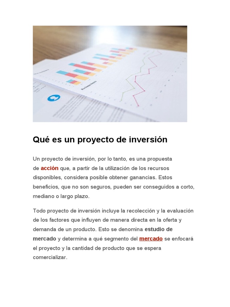 Proyecto de Inversión: Guía Completa | PDF