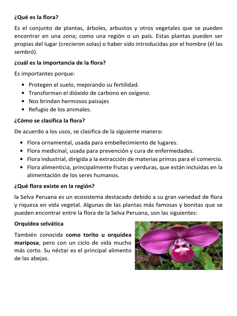 Qué Es La Flora | PDF