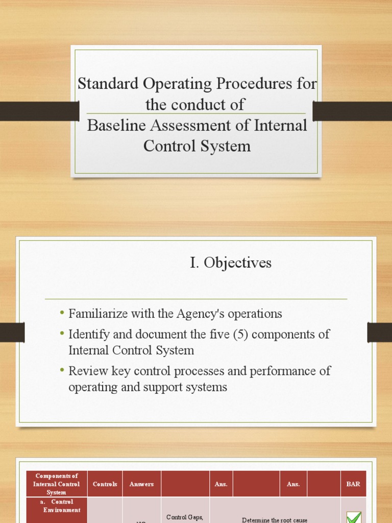 Baseline Assessment of Internal Control | PDF | Focus Group | Internal ...