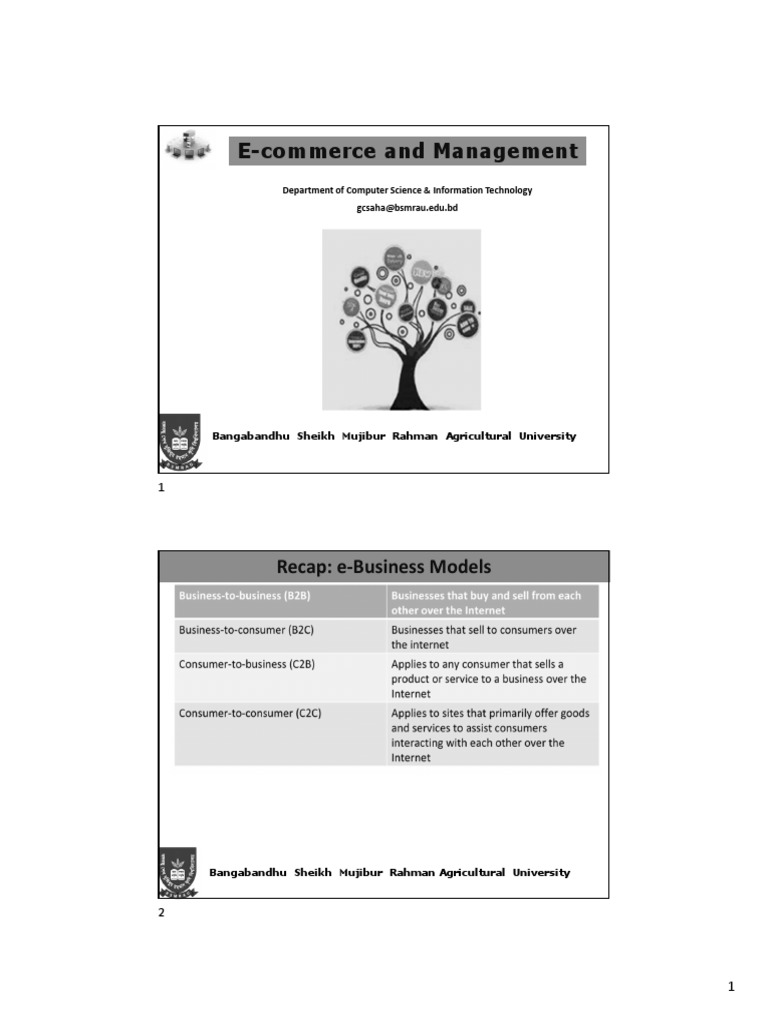 E-Commerce and Management | PDF | Electronic Business | Transport Layer ...