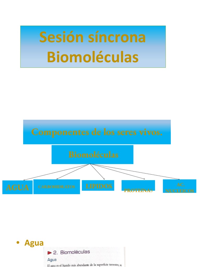 Presentacion - Seres Vivos | PDF
