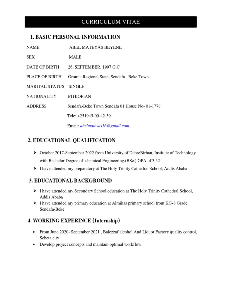 CV of ABEL | PDF | Ethiopia | Business