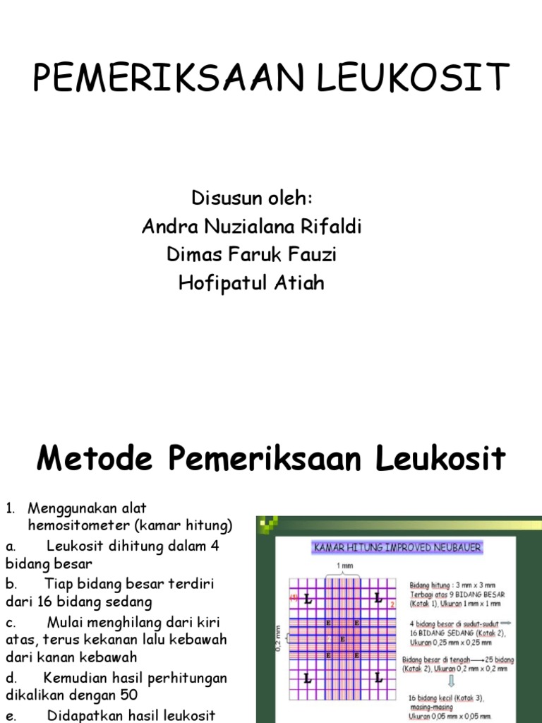 Pemeriksaan Leukosit Manual | PDF