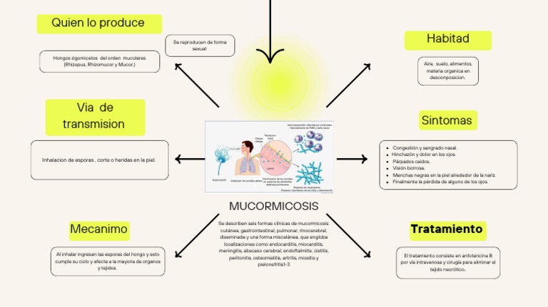 Mapa Tal | PDF | Causas de la muerte | Enfermedades y trastornos humanos