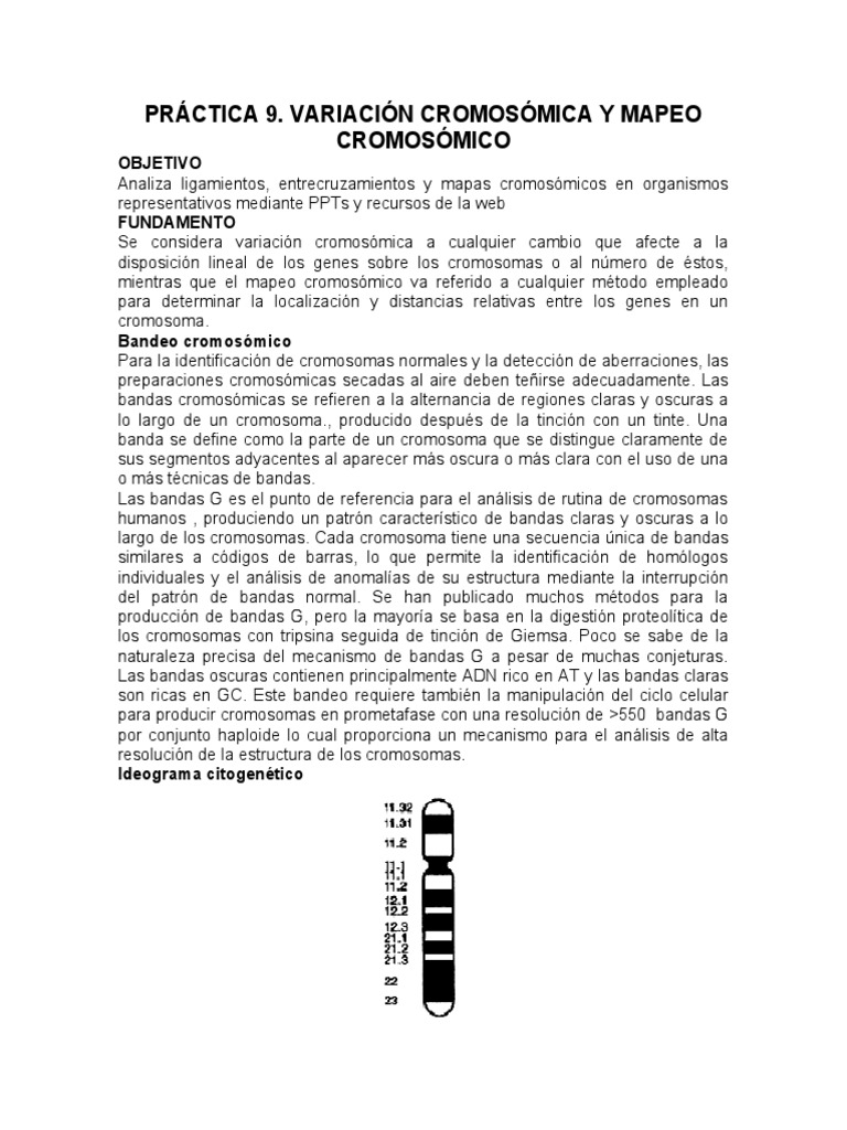 Variación y Mapeo Cromosómico en Humanos | PDF | Cromosoma | Cariotipo