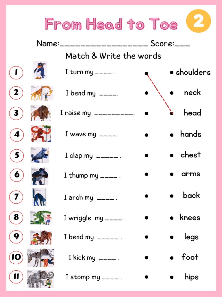 Body Parts Activity Worksheet | PDF