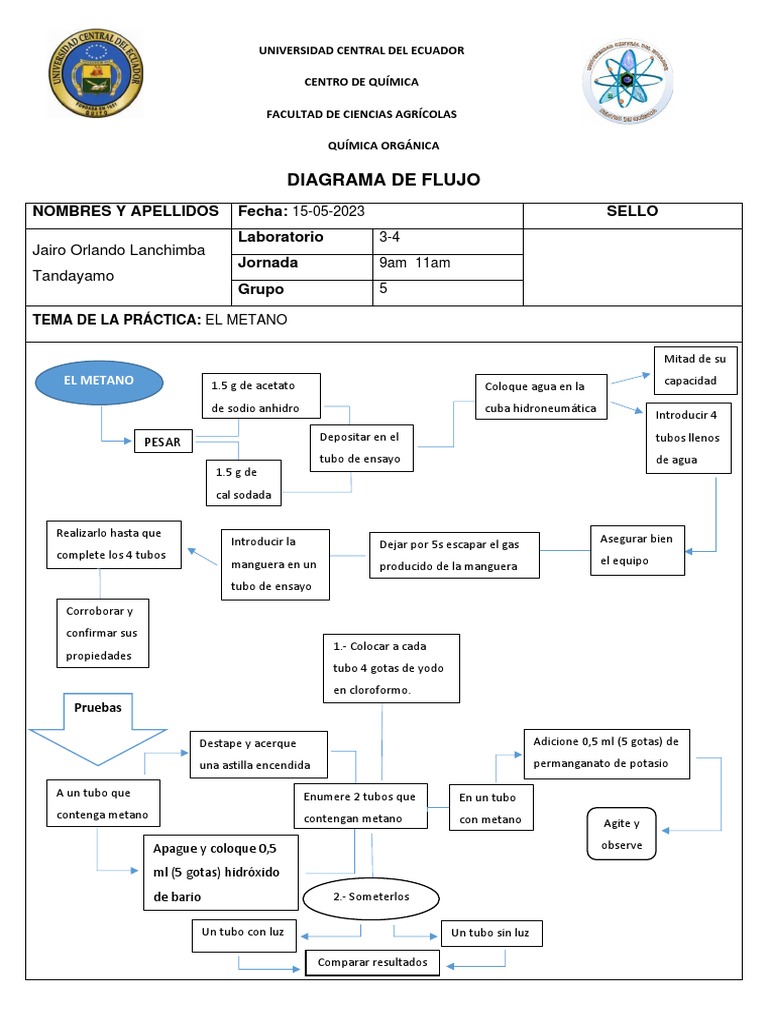 Diagrama de Flujo - Metano | PDF | Sustancias químicas | Compuestos ...