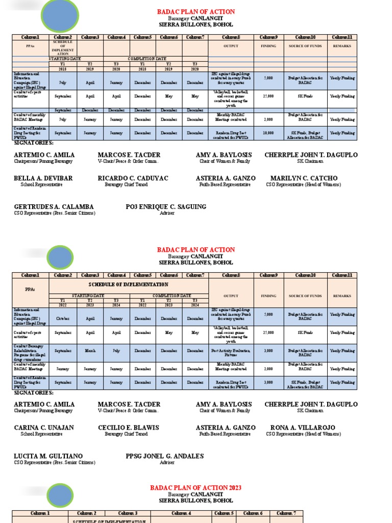 Badac Plan of Action 2018-2020 | PDF