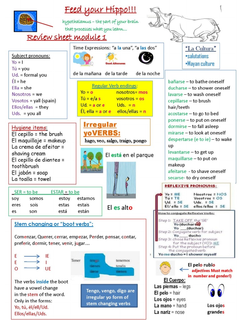 Hippo Modules 1-6 | Download Free PDF | Grammatical Tense | Grammar