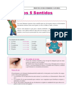 Test de Jack | PDF | Pie | Dedo del pie