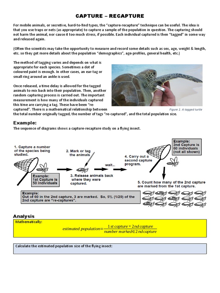 Capture Recapture Pdf