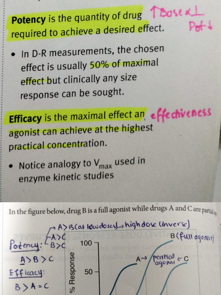 Pharma Block 1 Ospe | PDF