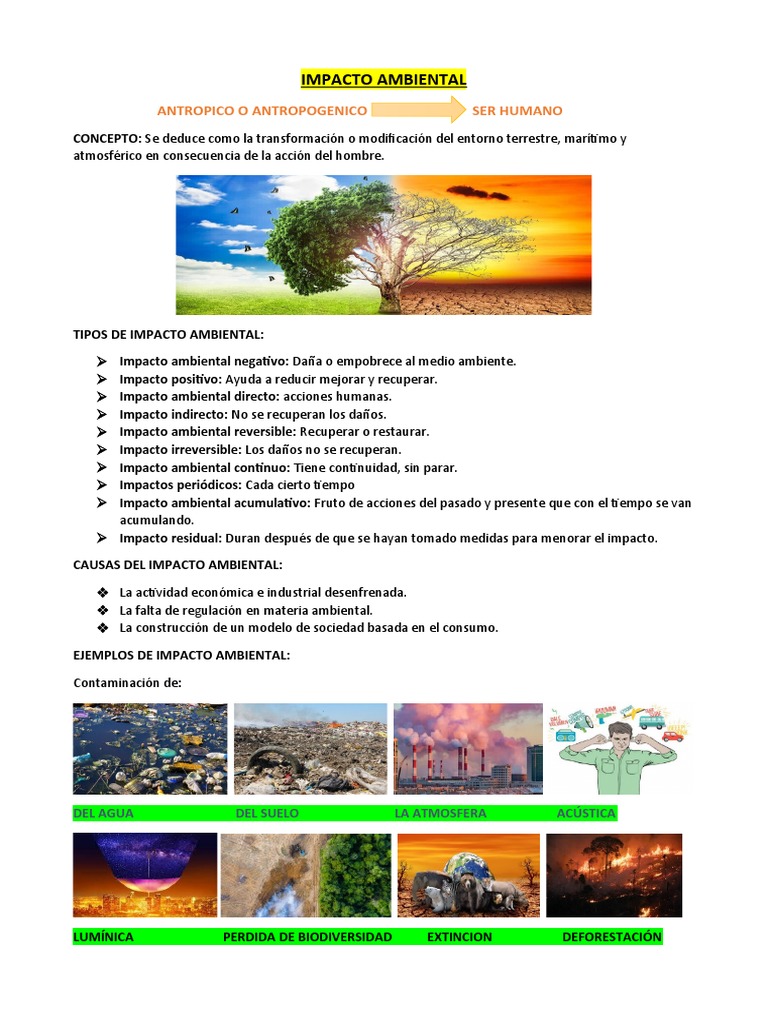 Impacto Ambiental | PDF | Entorno natural | Consumo (economía)