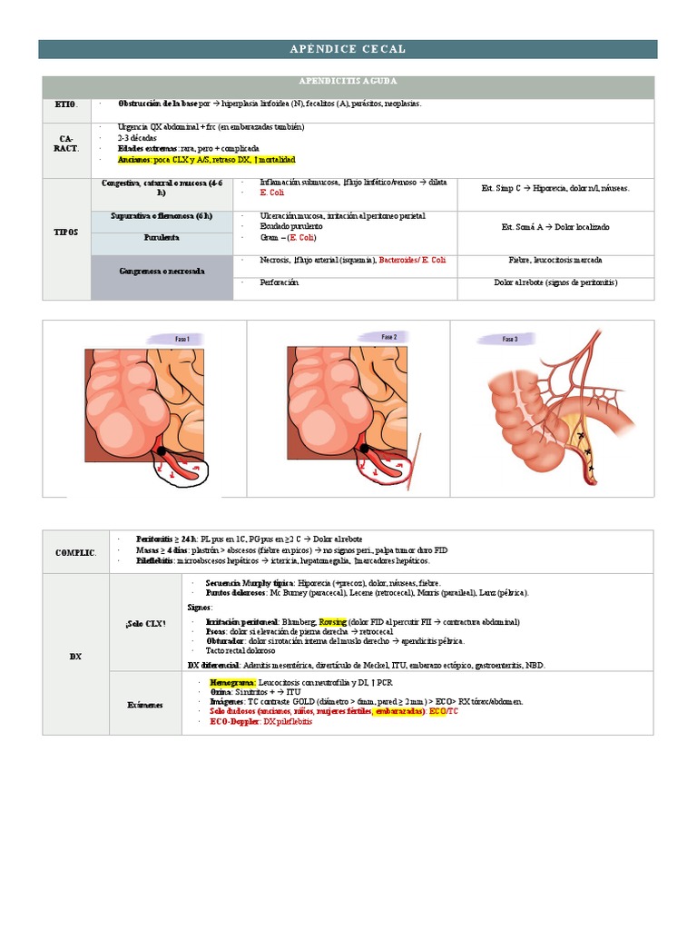 Apéndice Cecal | PDF | Especialidades Medicas | Medicina