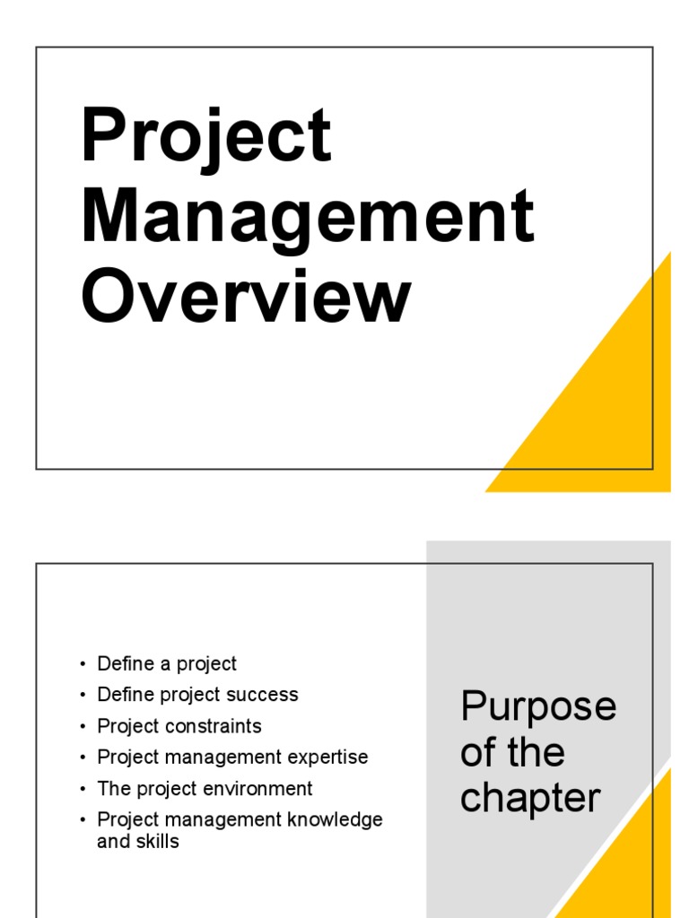 Chapter 2 Project Management Overview | PDF | Project Management | Leadership