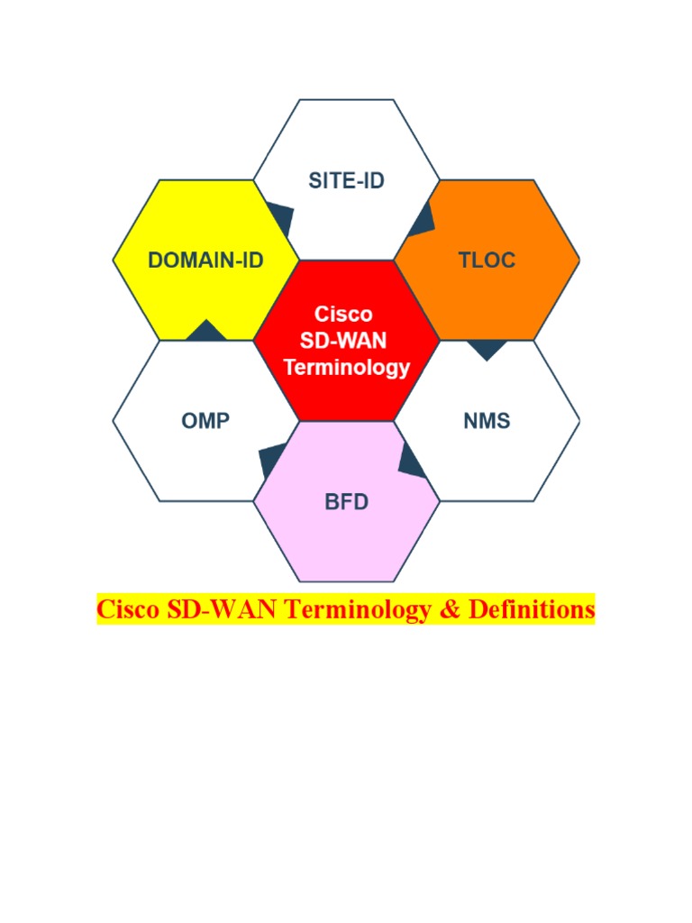 Cisco SD-WAN Terminology | Download Free PDF | Computer Network | Router (Computing)