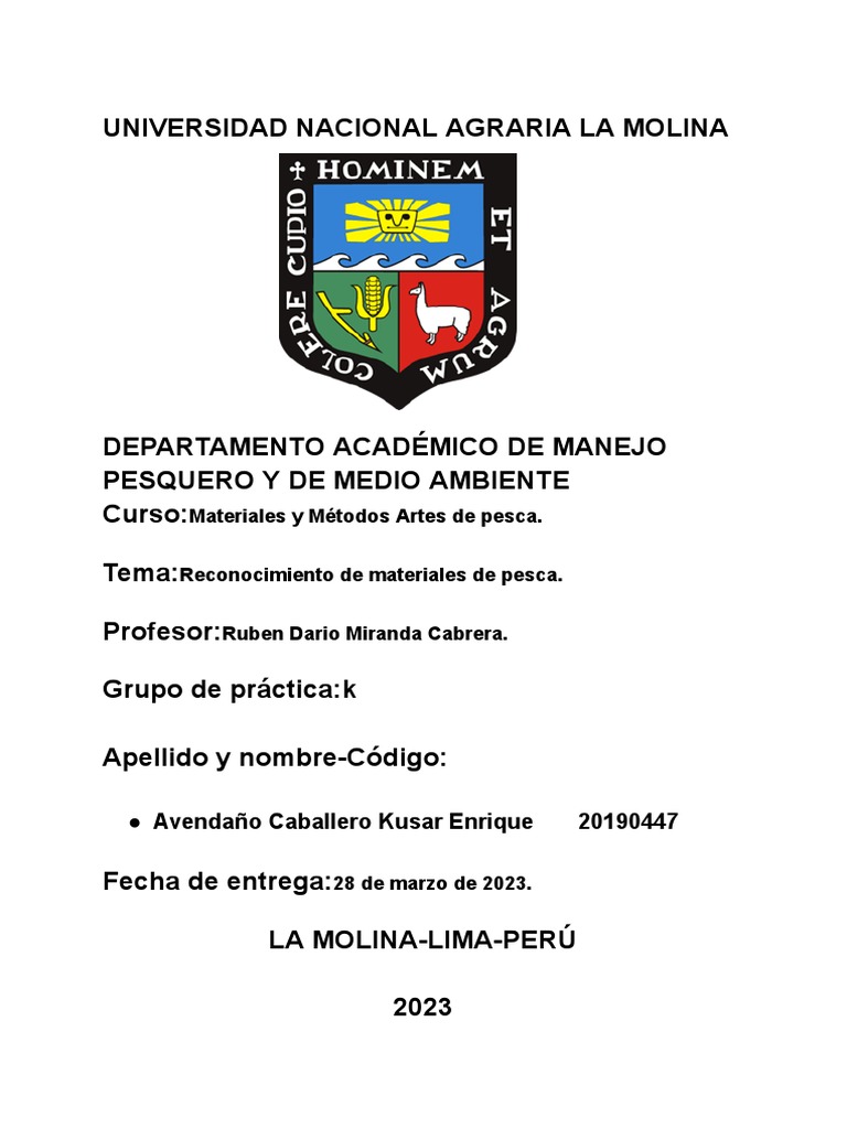 Informe N2 Avendaño Caballero Kusar | PDF | Nylon