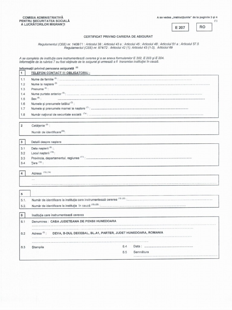 Formular e 207 | PDF