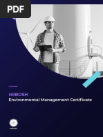 NEBOSH IDip Sample Exam | PDF