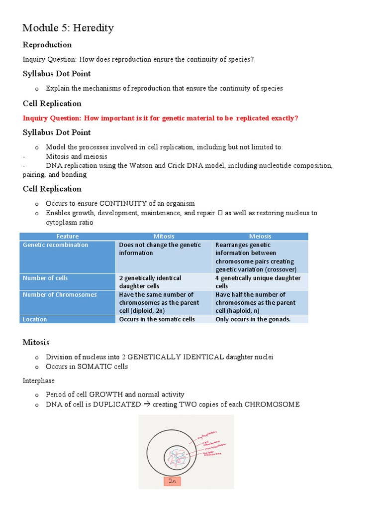 Module 5 - Heredity | PDF | Messenger Rna | Meiosis Module 5 - Heredity | PDF | Messenger Rna | Meiosis