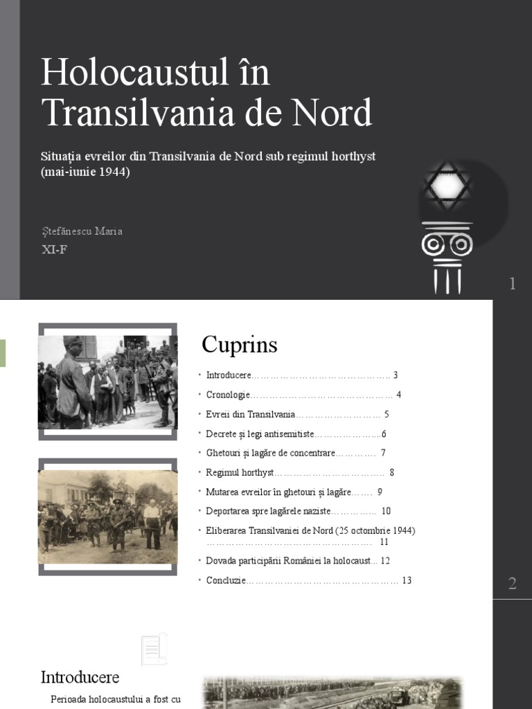 Holocaustul În Transilvania | PDF