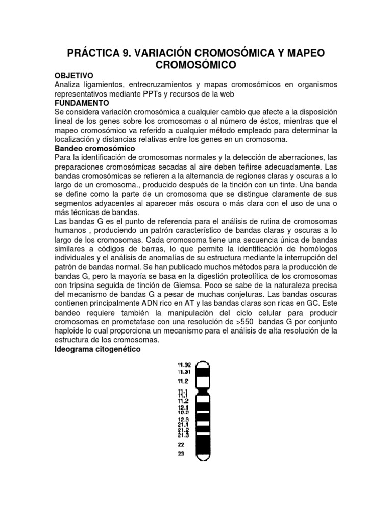 Practica 9. Variacion y Mapeo Cromosomico | PDF | Microsatélite | Gene