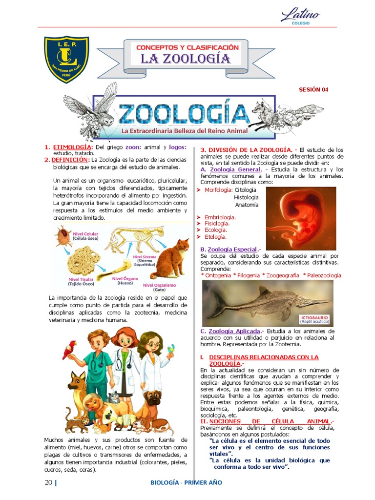 Introducción a la Zoología y sus Disciplinas | PDF | Términos ...