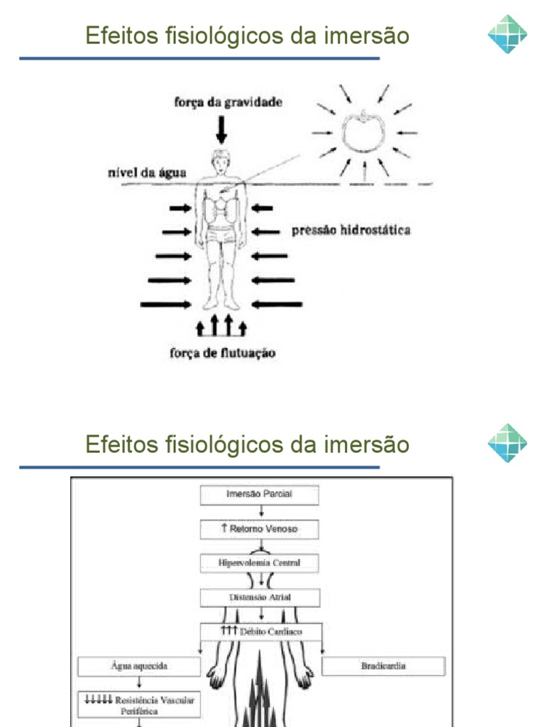 Efeitos Fisiol Gicos Da Imers o | PDF | Sistema circulatório | Fisioterapia