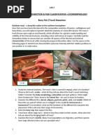 Osteichthyes: Anatomy of Bony Fishes | PDF | Stomach | Gill